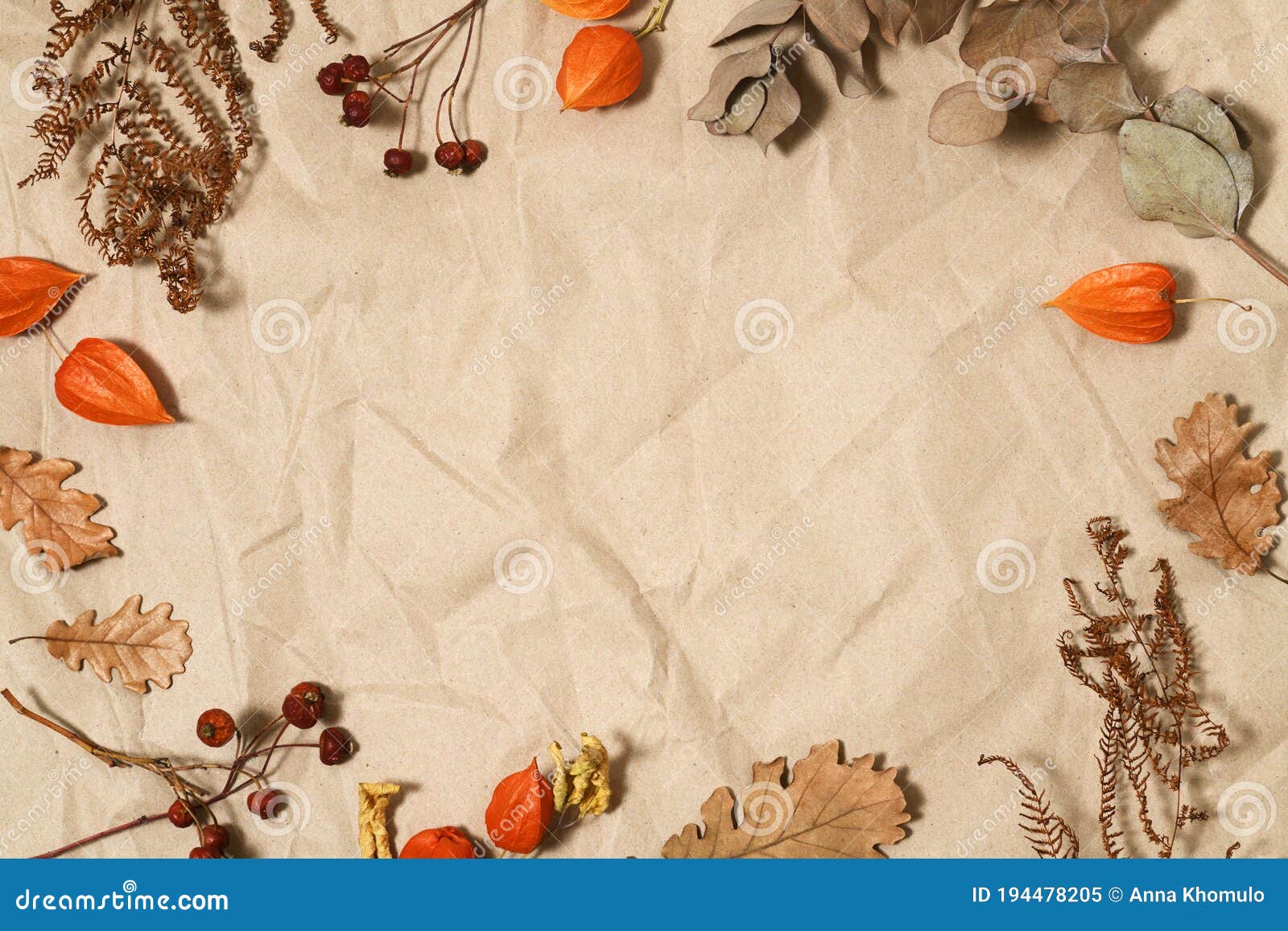 Autumnal frame stock image. Image of background, decoration - 194478205