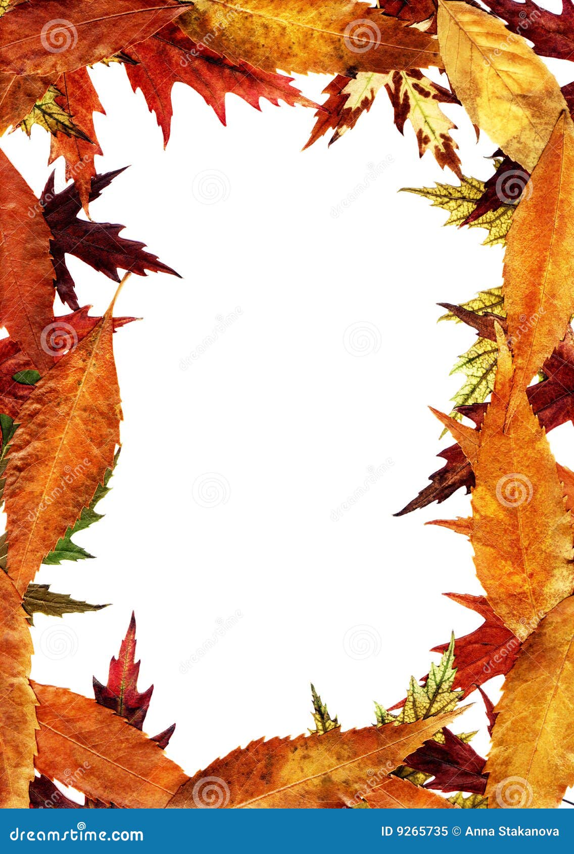 Autumnal framework stock image. Image of group, frame - 9265735
