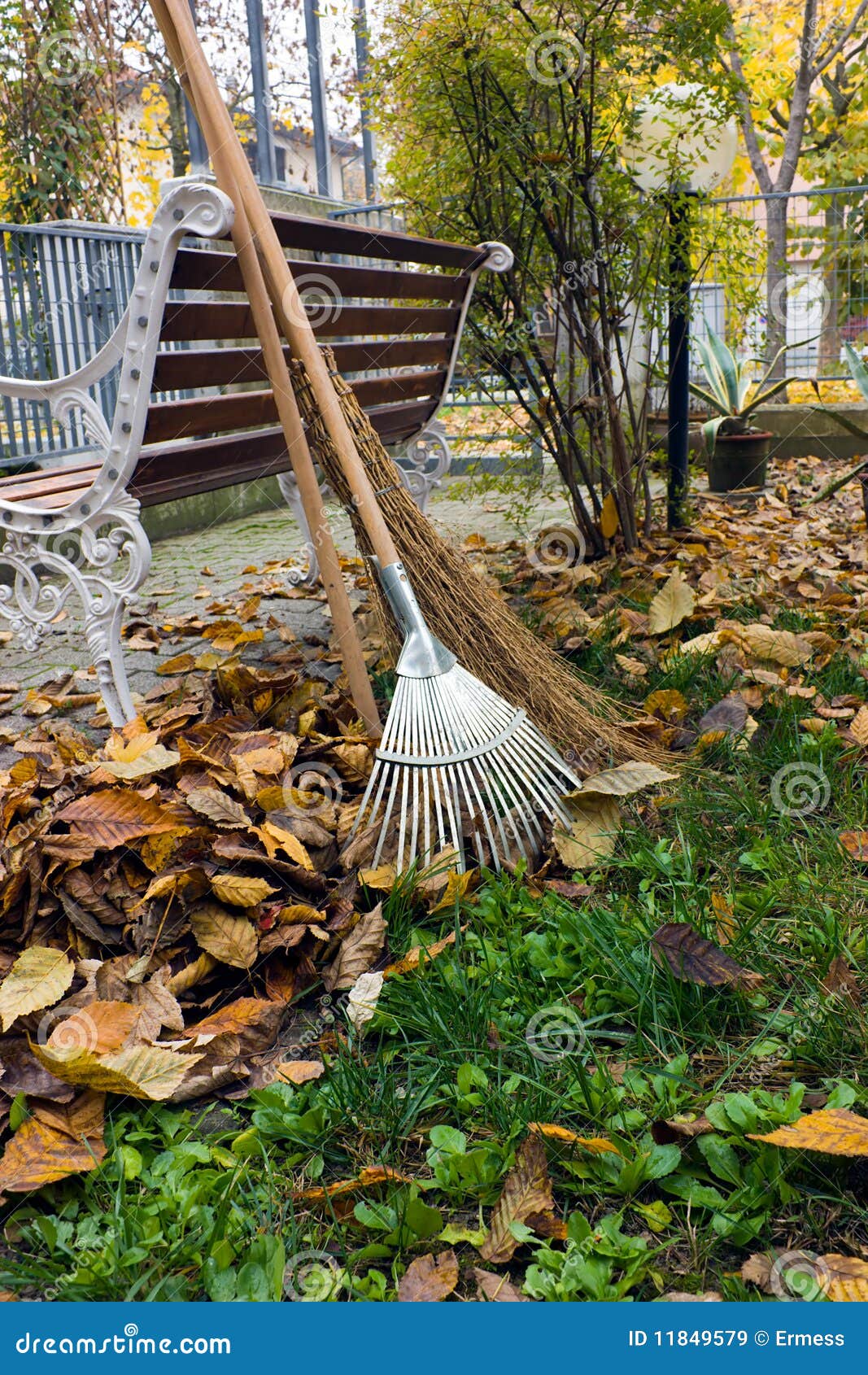 Autumnal garden work stock image. Image of cleaning, bench - 11849579