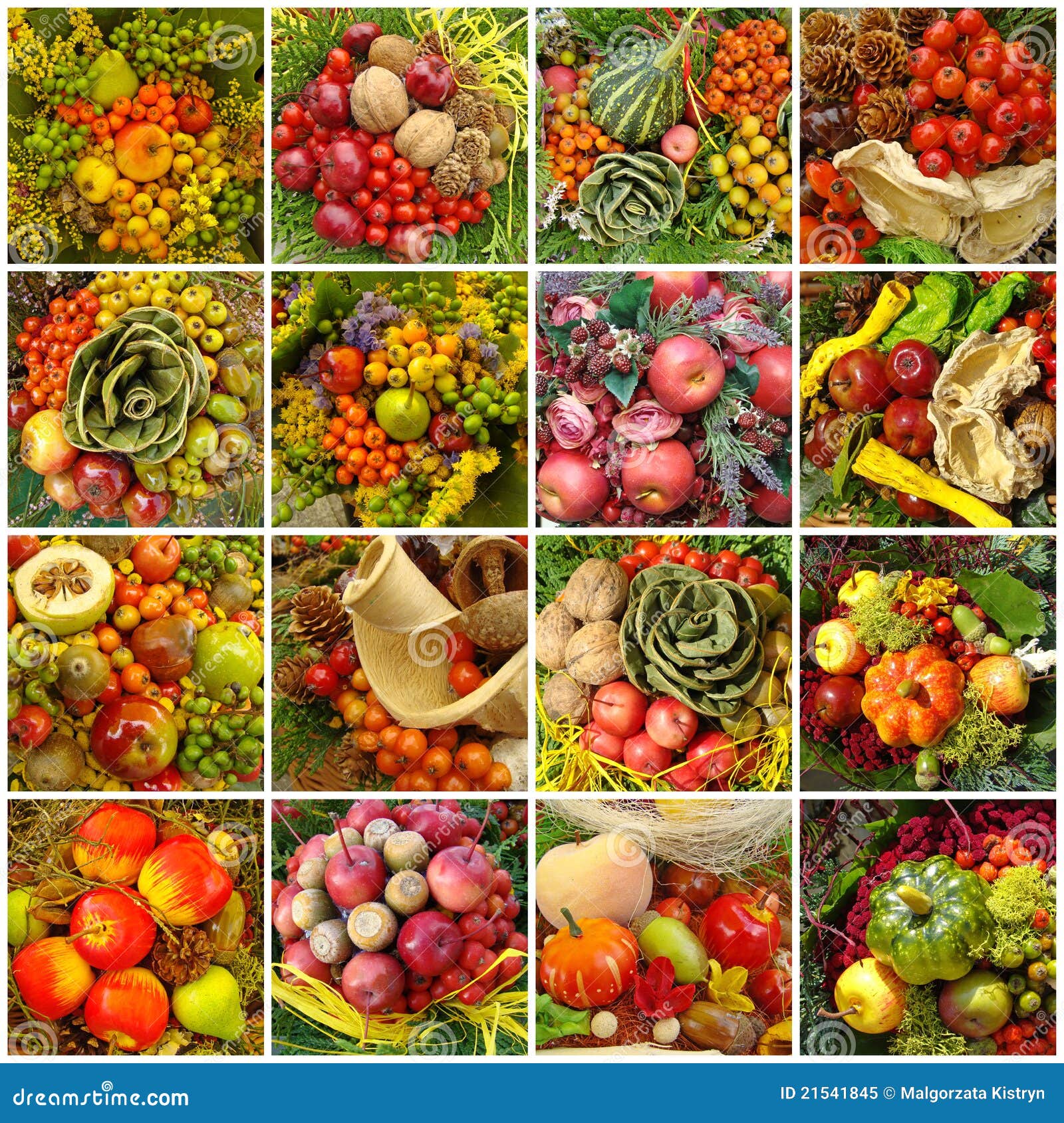 Autumnal harvest collage stock image. Image of crop, orange - 21541845