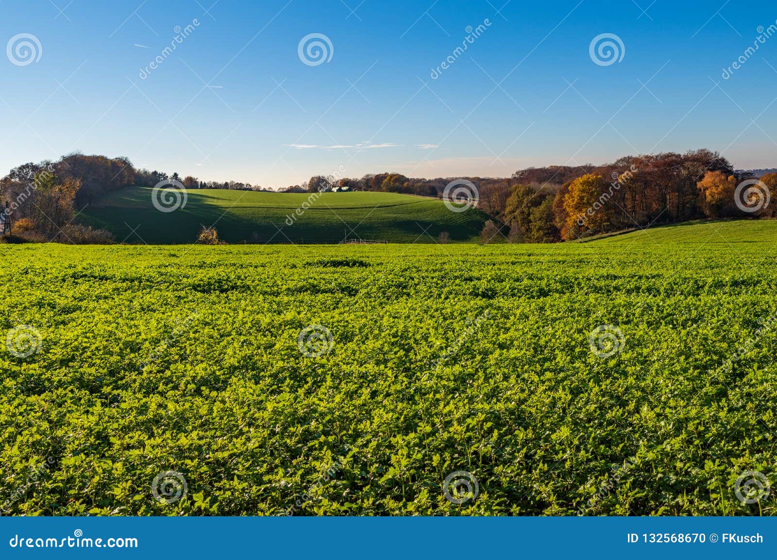 Autumnal Landscape, View Over Meadows, Fields and Forest, Essen Stock ...
