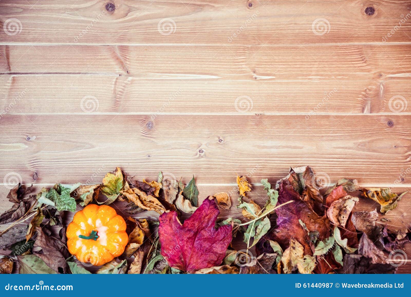 Autumnal Leaf Pattern on Desk Stock Image - Image of autumn, people ...