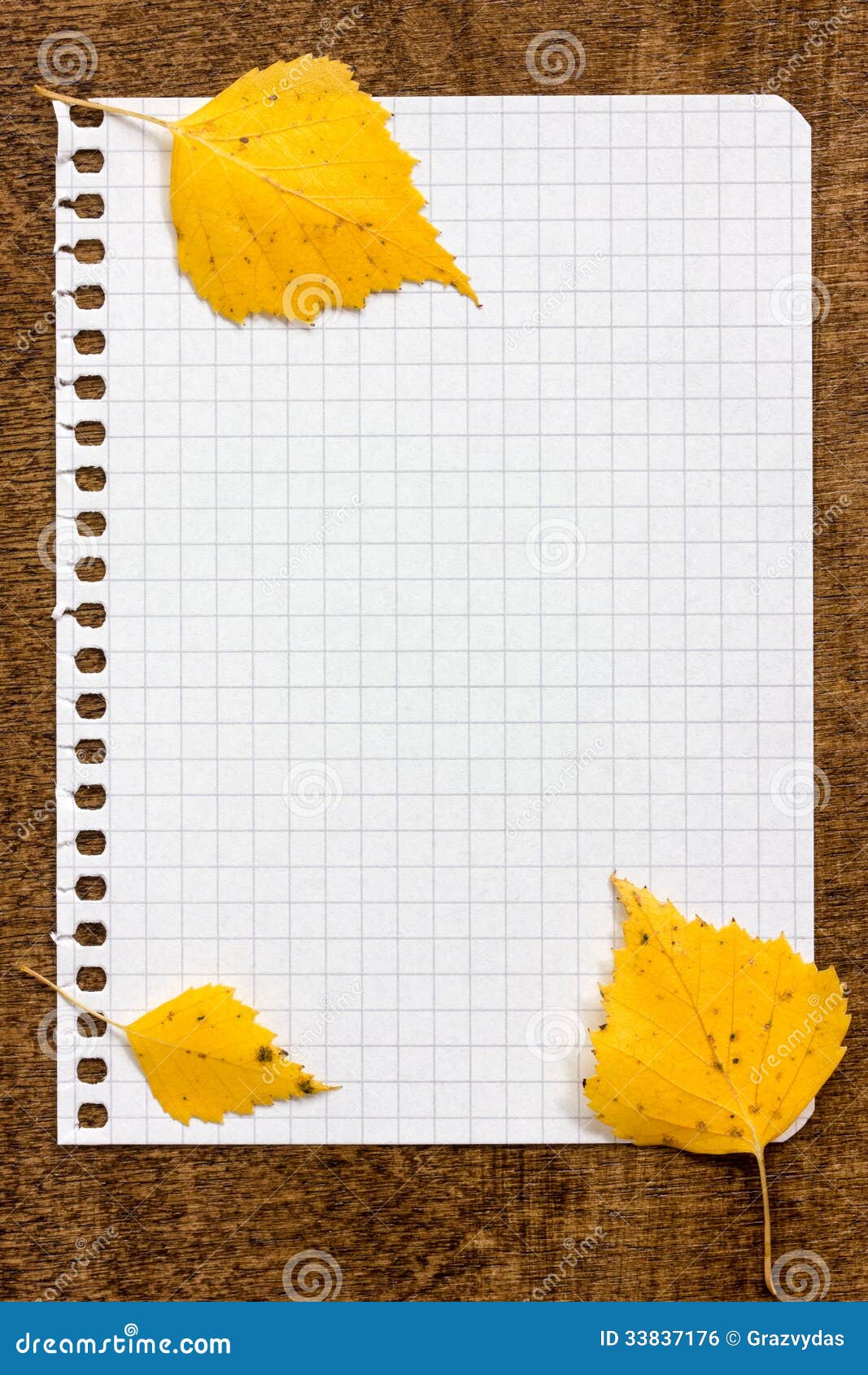 Autumnal Leaves on the Paper Page Notebook Stock Photo - Image of ...