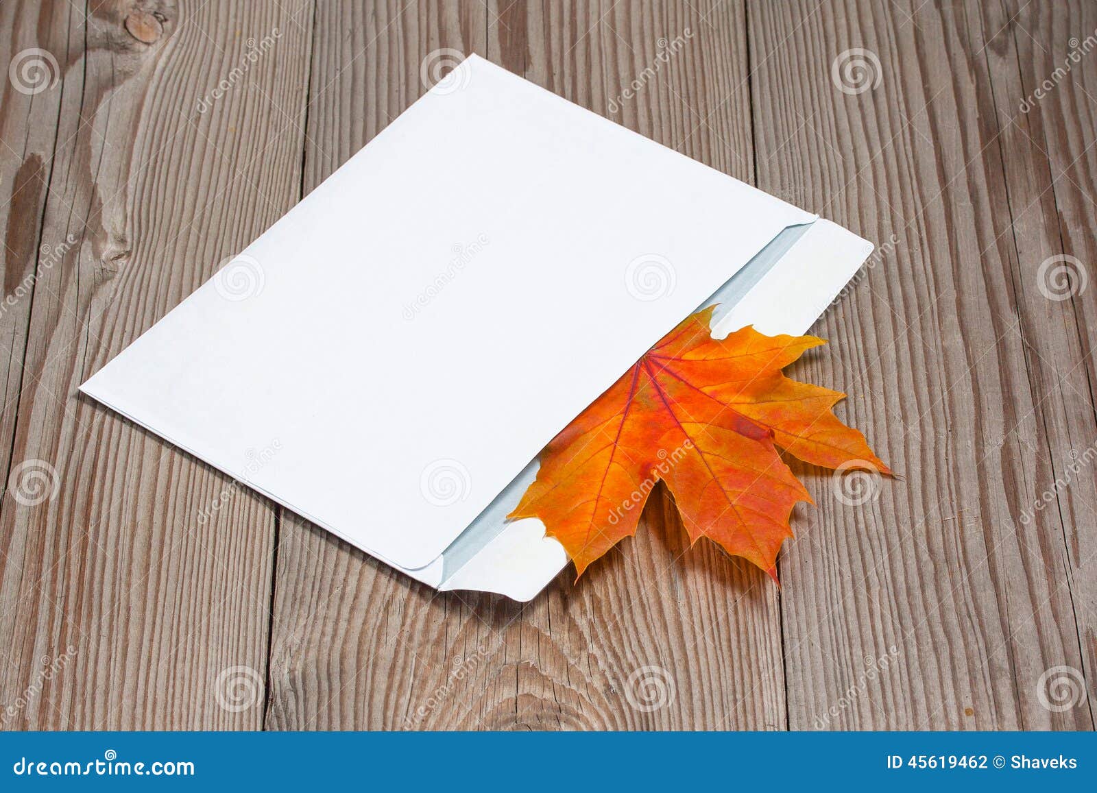 Autumnal Maple Leaf in Envelope Stock Photo - Image of colored, dark: 45619462