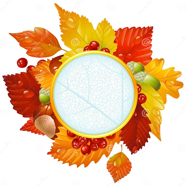 Autumnal Round Frame with Fall Leaf, Chestnut, Aco Stock Vector ...