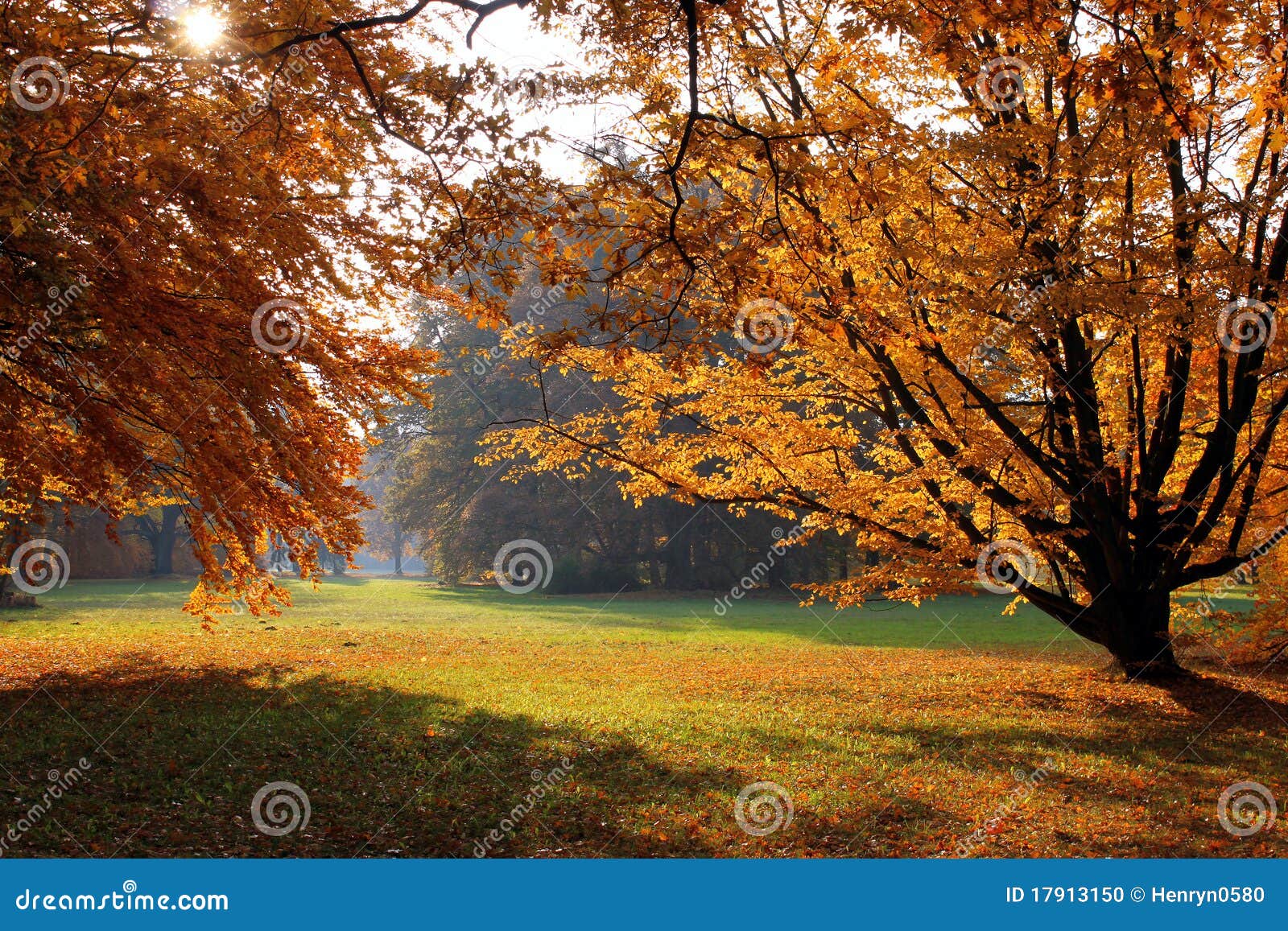 Autumnal trees in park stock photo. Image of foliage - 17913150