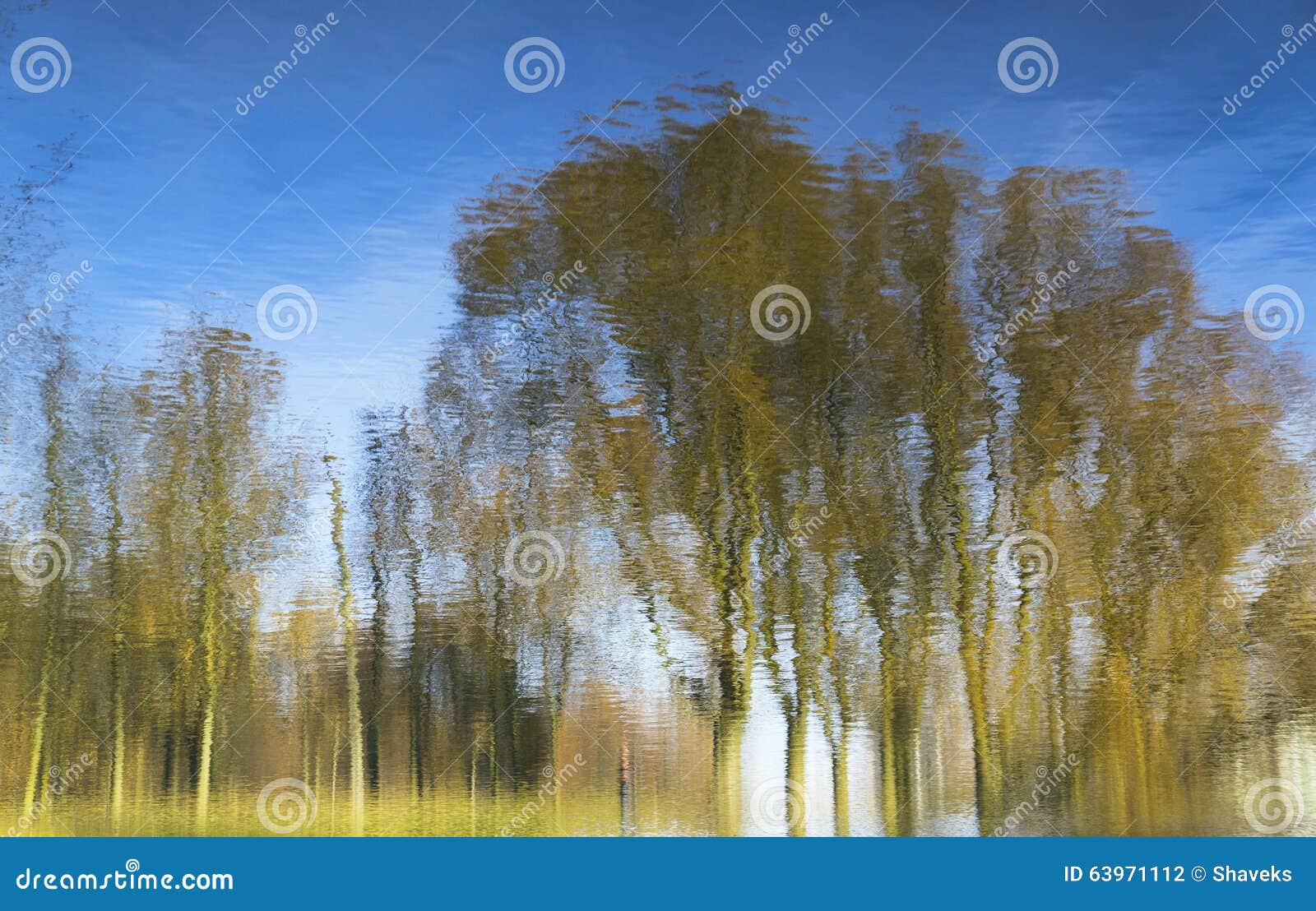 Autumnal Trees Reflections in Rippled Water Stock Photo - Image of ...