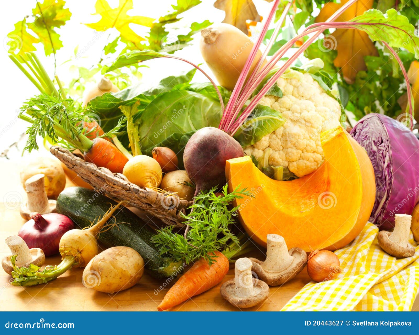 Autumnal vegetables stock image. Image of mushroom, assortment - 20443627