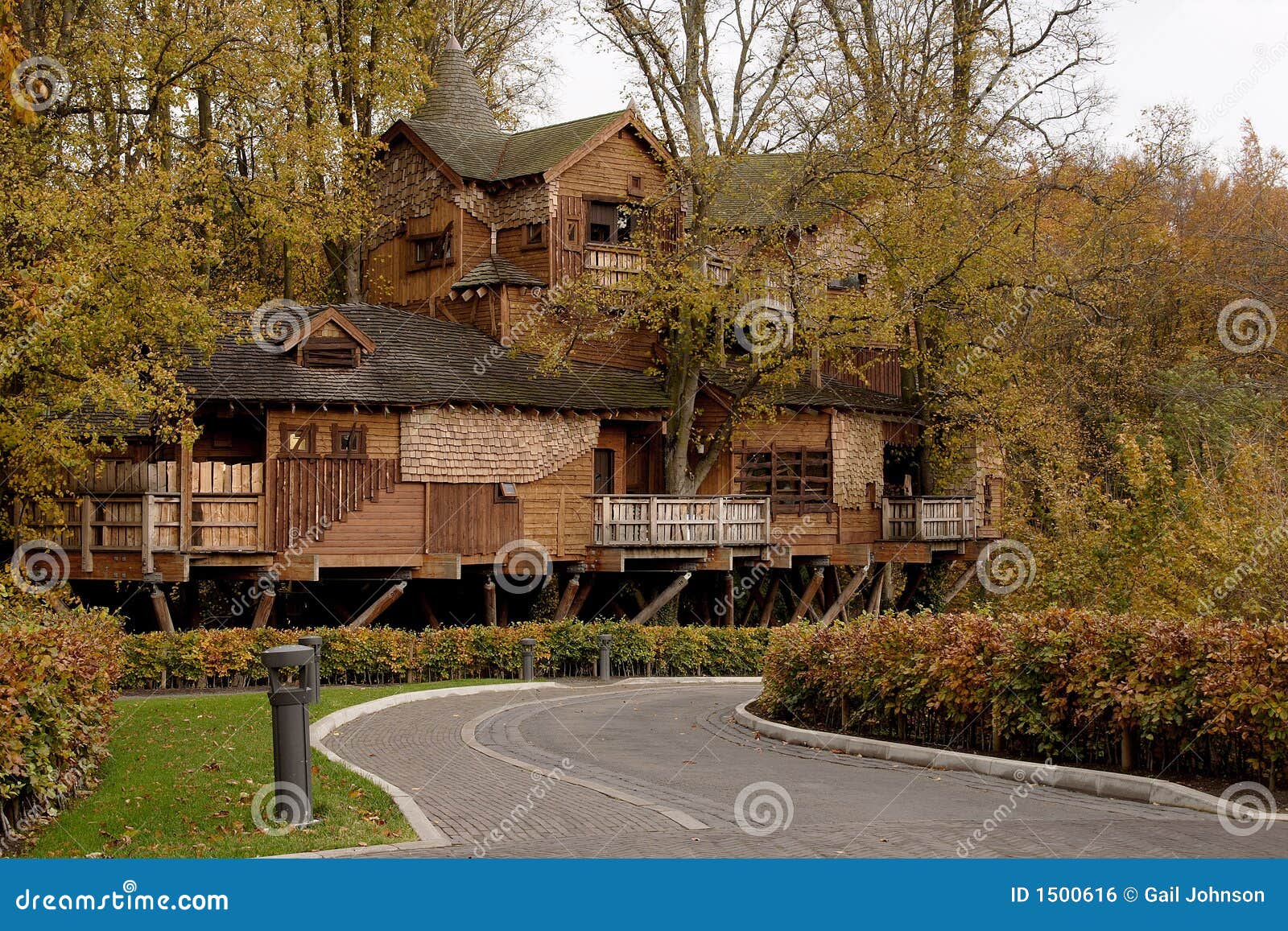 Autumnal View of Alnwick Garden Treehouse Stock Photo - Image of yellow ...