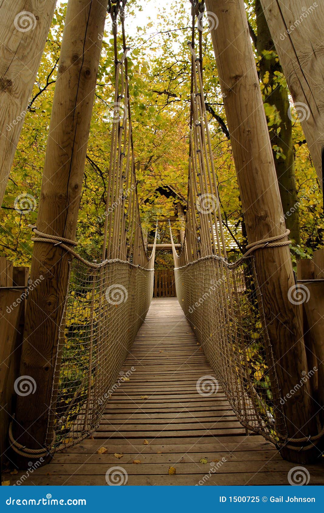 Autumnal View of Alnwick Garden Treehouse Stock Image - Image of ...