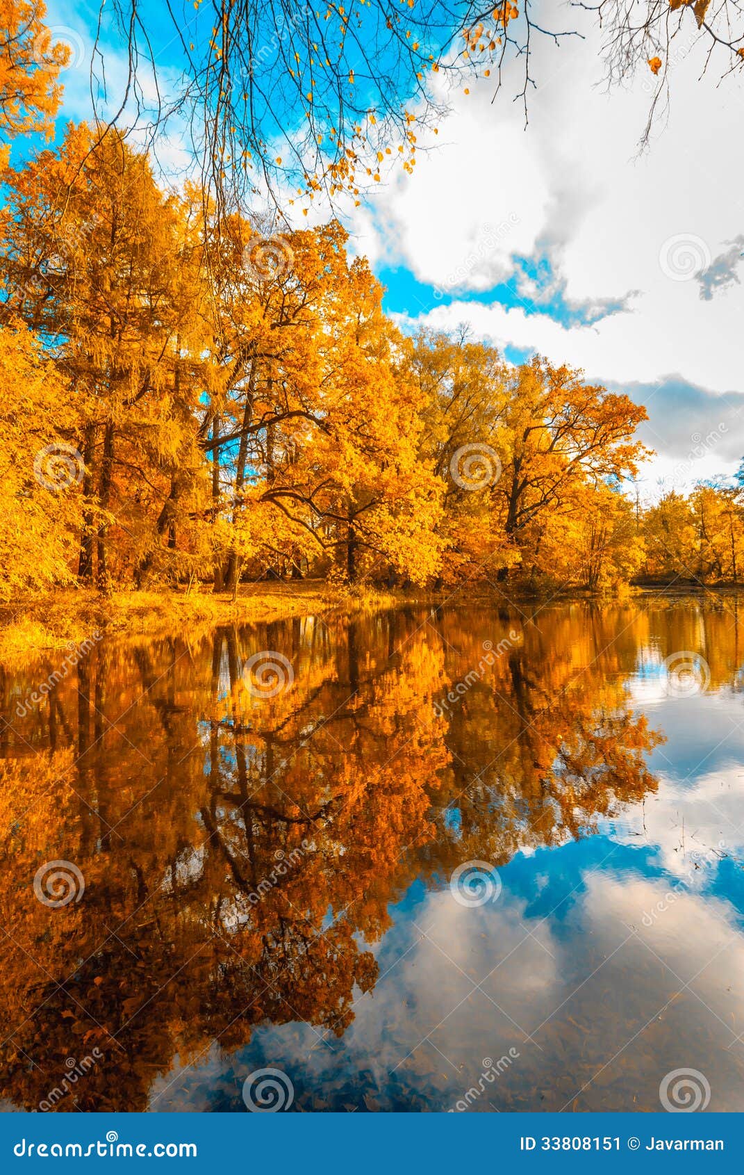 Autunm trees stock image. Image of rural, yellow, scene - 33808151