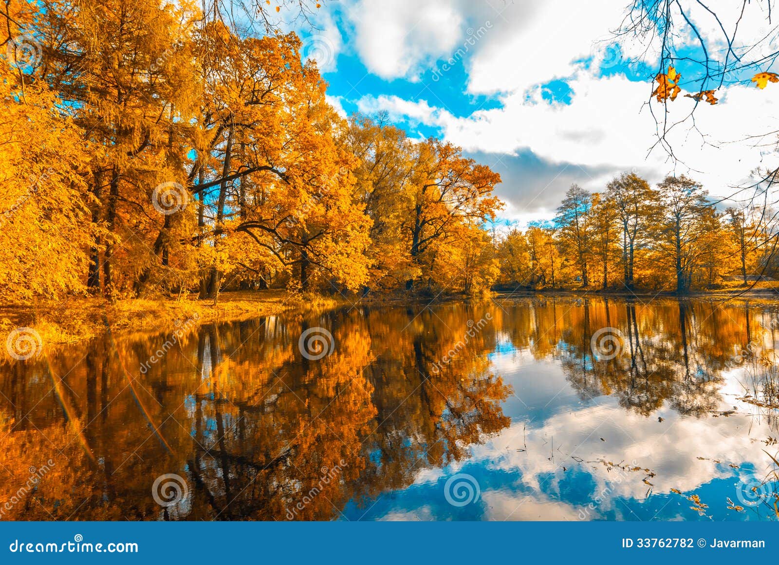 Autunm trees stock photo. Image of orange, colored, scenics - 33762782