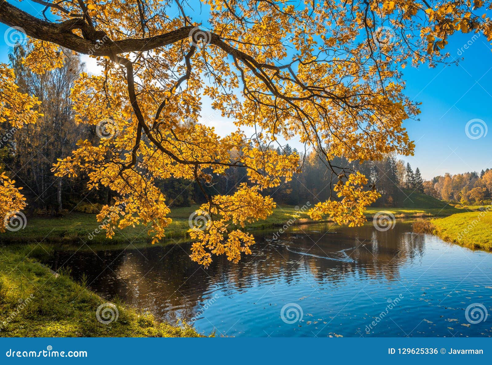 Autunm Trees in the Park, Perfect Fall Scenery Stock Photo - Image of ...