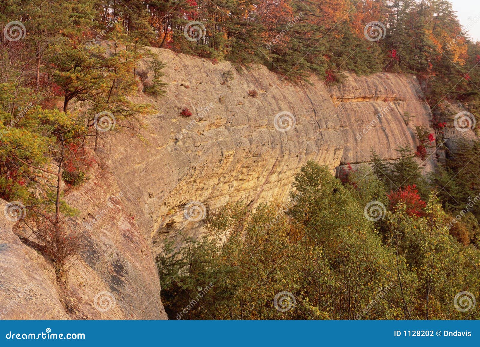Auxier Ridge stock photo. Image of forest, boone, danial - 1128202