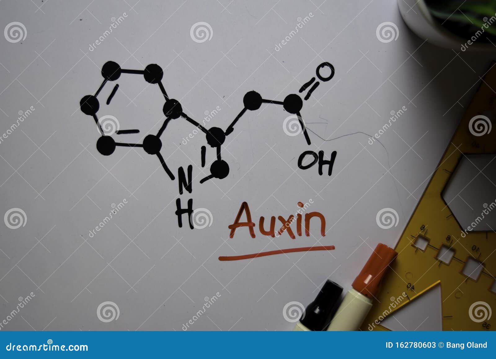 Auxin Molecular Structure, 3d Model Molecule, Indole-3-acetic Acid ...