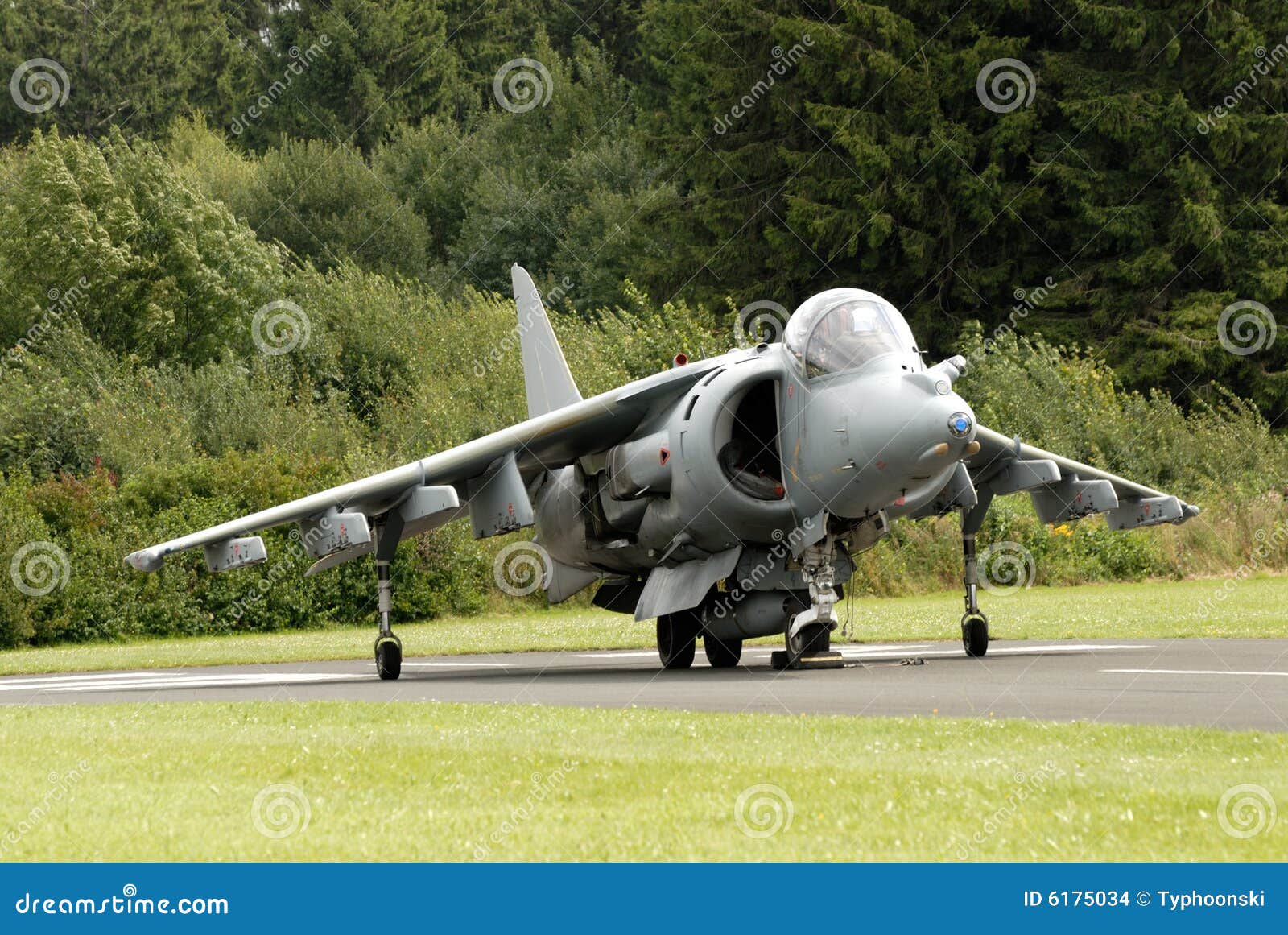 AV-8B Harrier Attack Aircraft Stock Photo - Image of fighter, gray: 6175034
