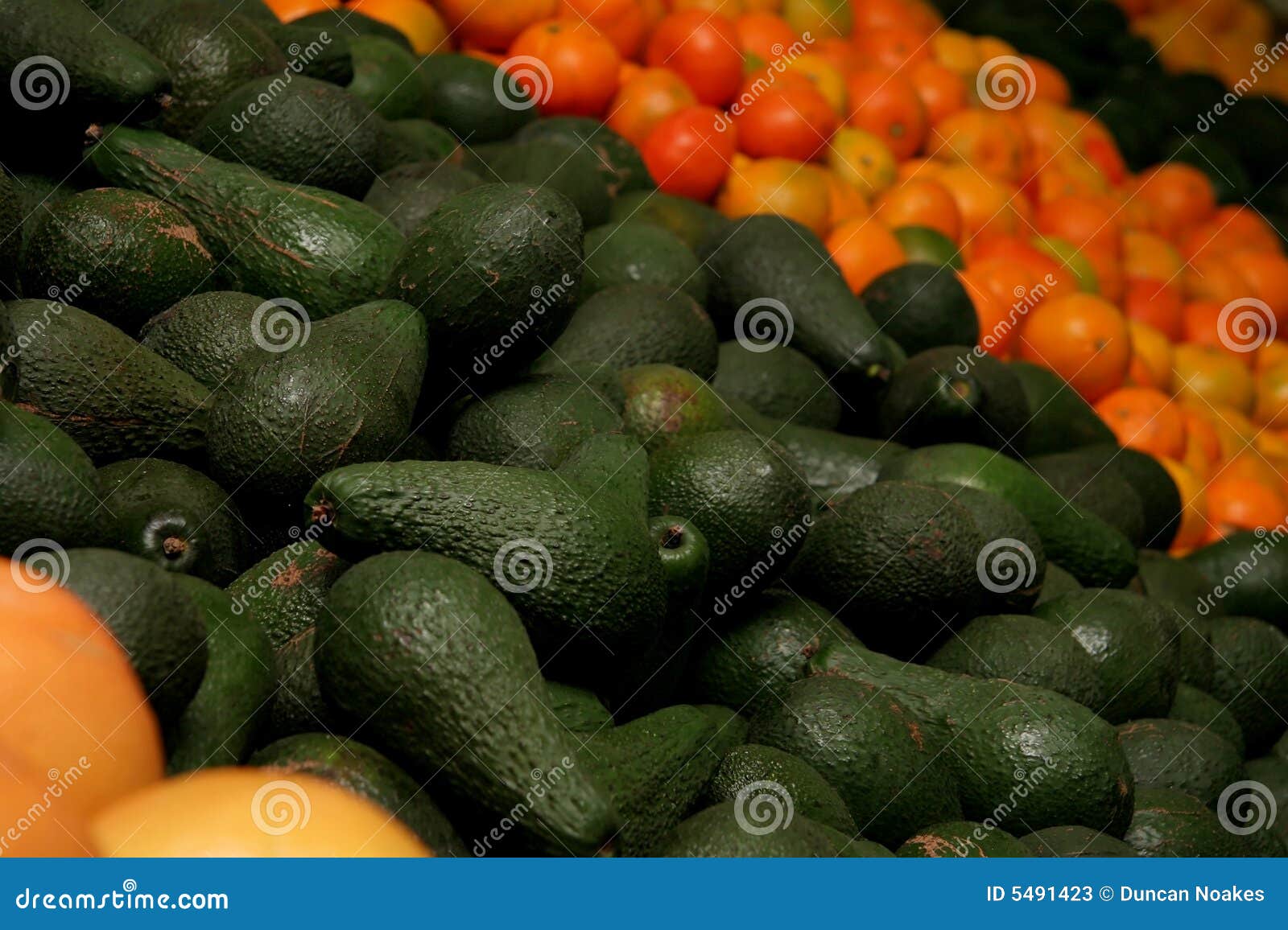 Avacado Pear Pile stock image. Image of healthy, shop - 5491423