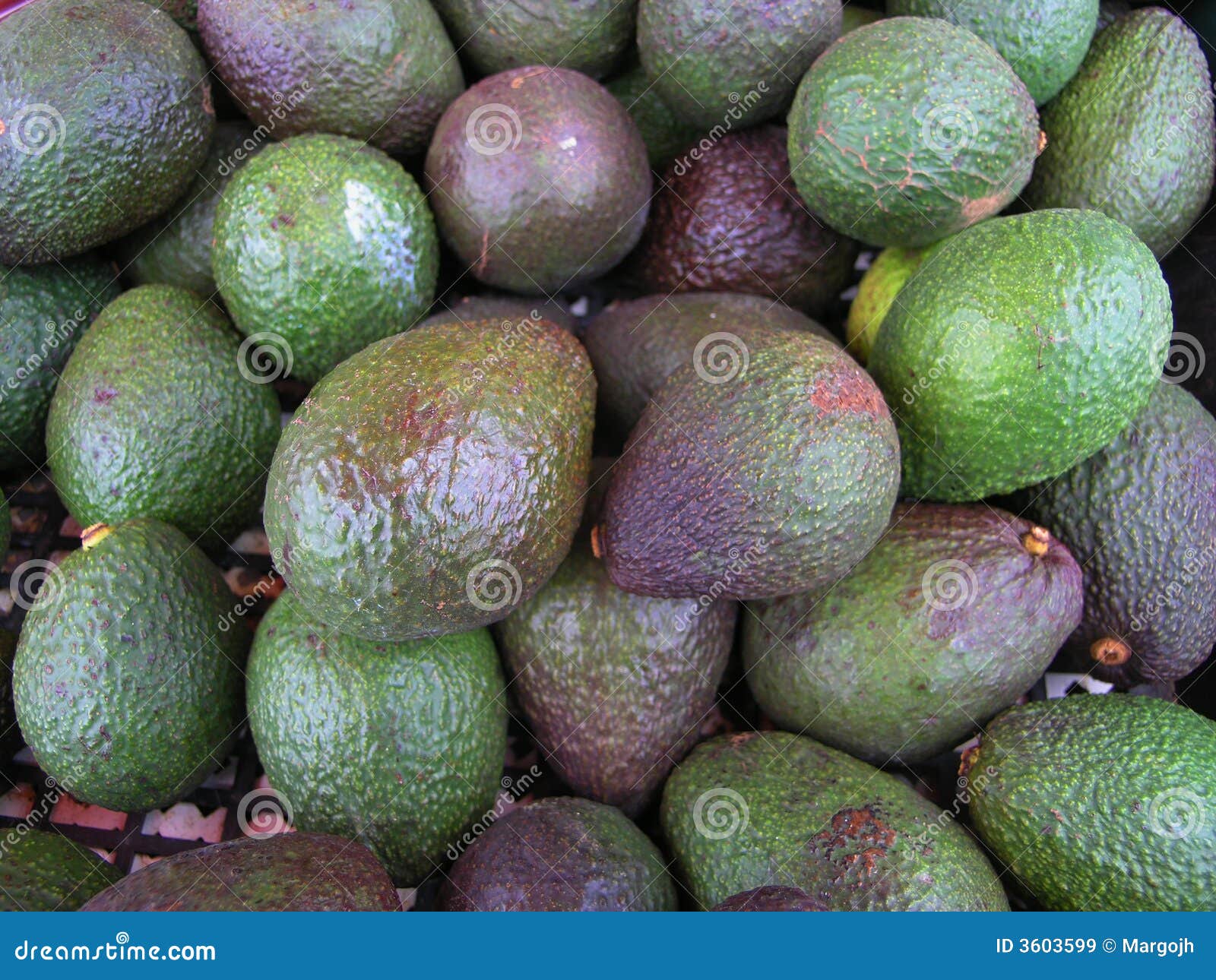 Avacadoes stock image. Image of cooking, good, groceries - 3603599