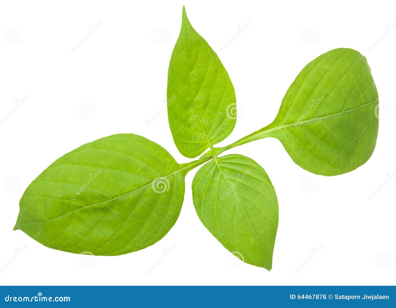 Available in High-resolution and Several Sizes To Fit the Needs Stock ...