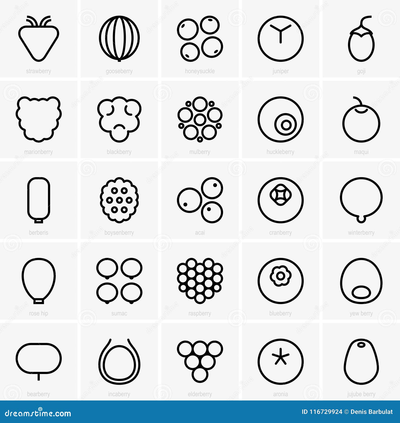 Berries icons stock vector. Illustration of juniper - 116729924