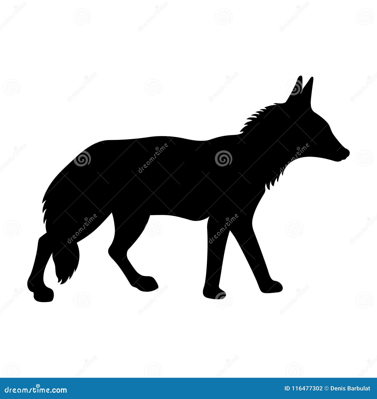 Coyote stock vector. Illustration of design, icon, vector - 116477302