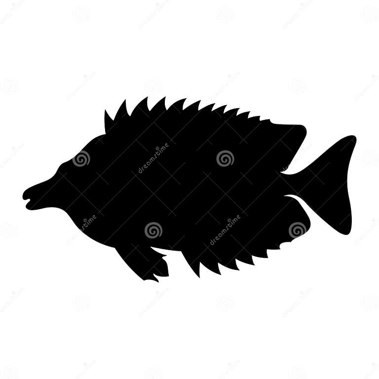 Foxface rabbitfish stock vector. Illustration of symbol - 116199822