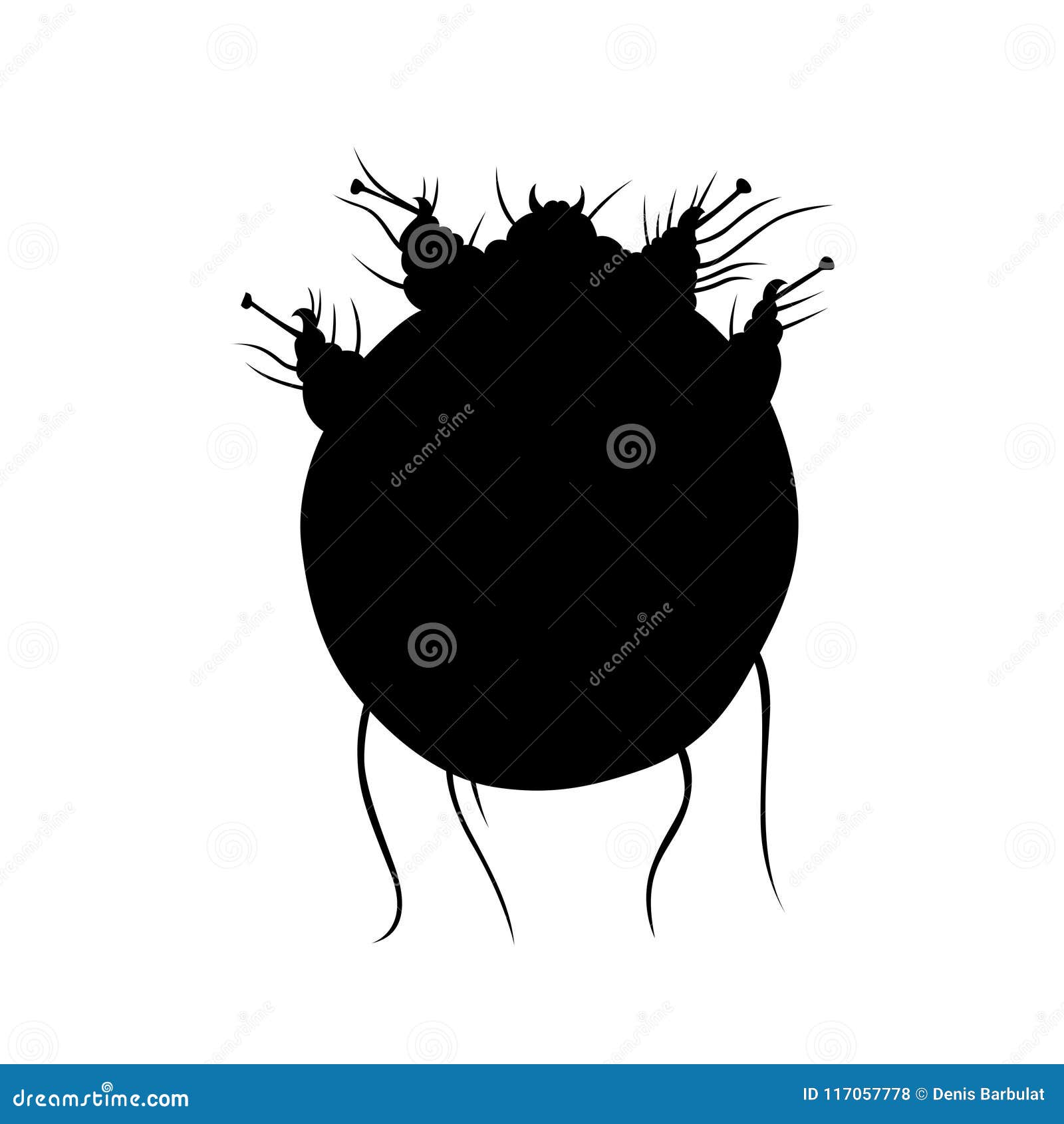 Sarcoptes Scabiei Or Itch Mite Vintage Engraving Vector Illustration ...