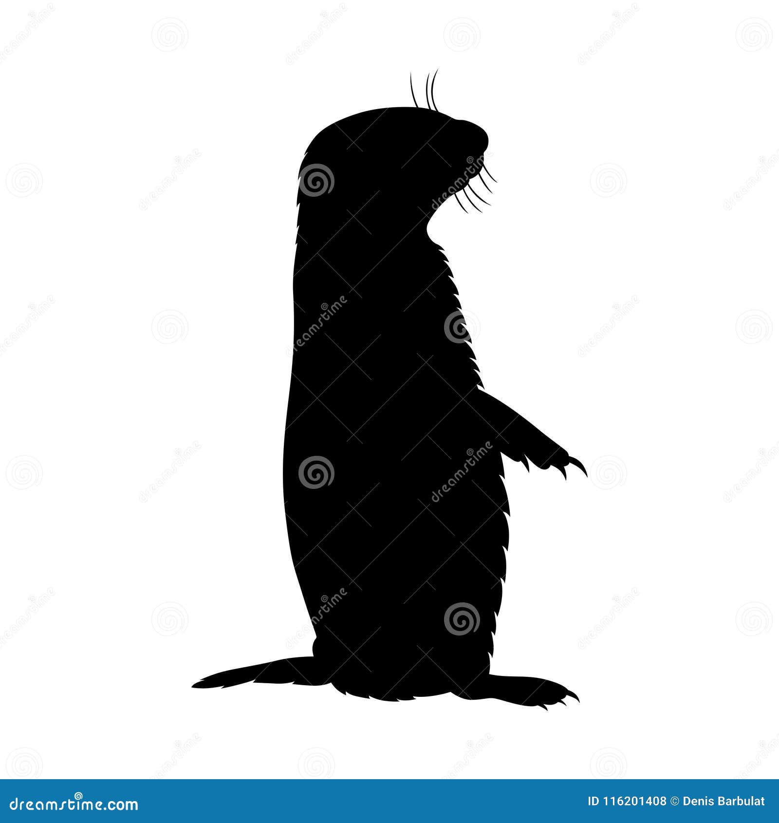Prairie dog stock vector. Illustration of fauna, icon - 116201408