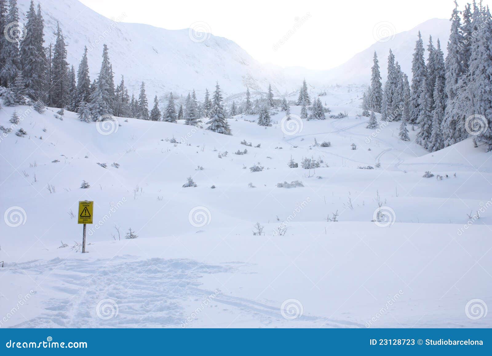 Avalanche area stock image. Image of natural, purity - 23128723