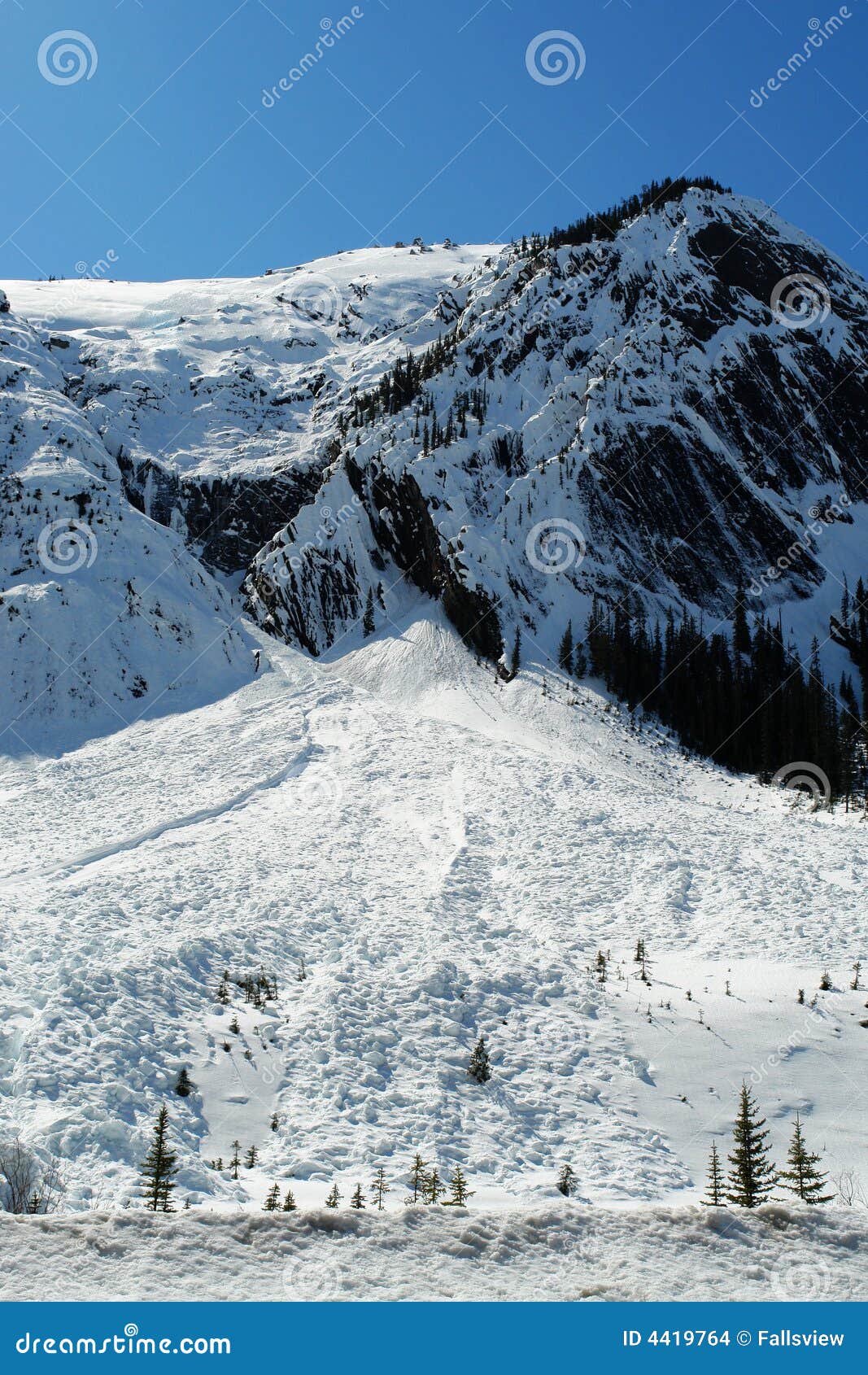 Avalanche area stock photo. Image of avalanche, rockies - 4419764