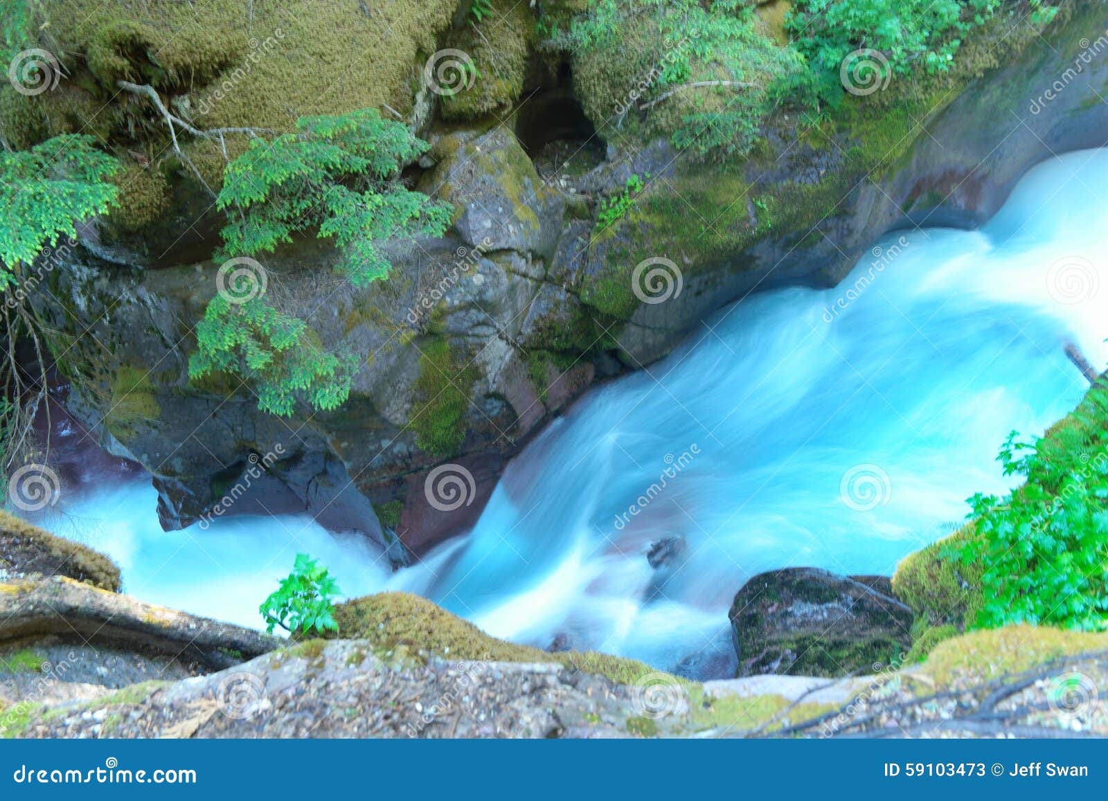 Avalanche Creek stock image. Image of creek, roaring - 59103473