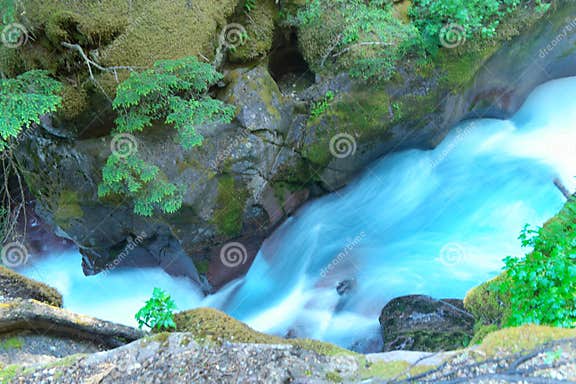 Avalanche Creek stock image. Image of creek, roaring - 59103473