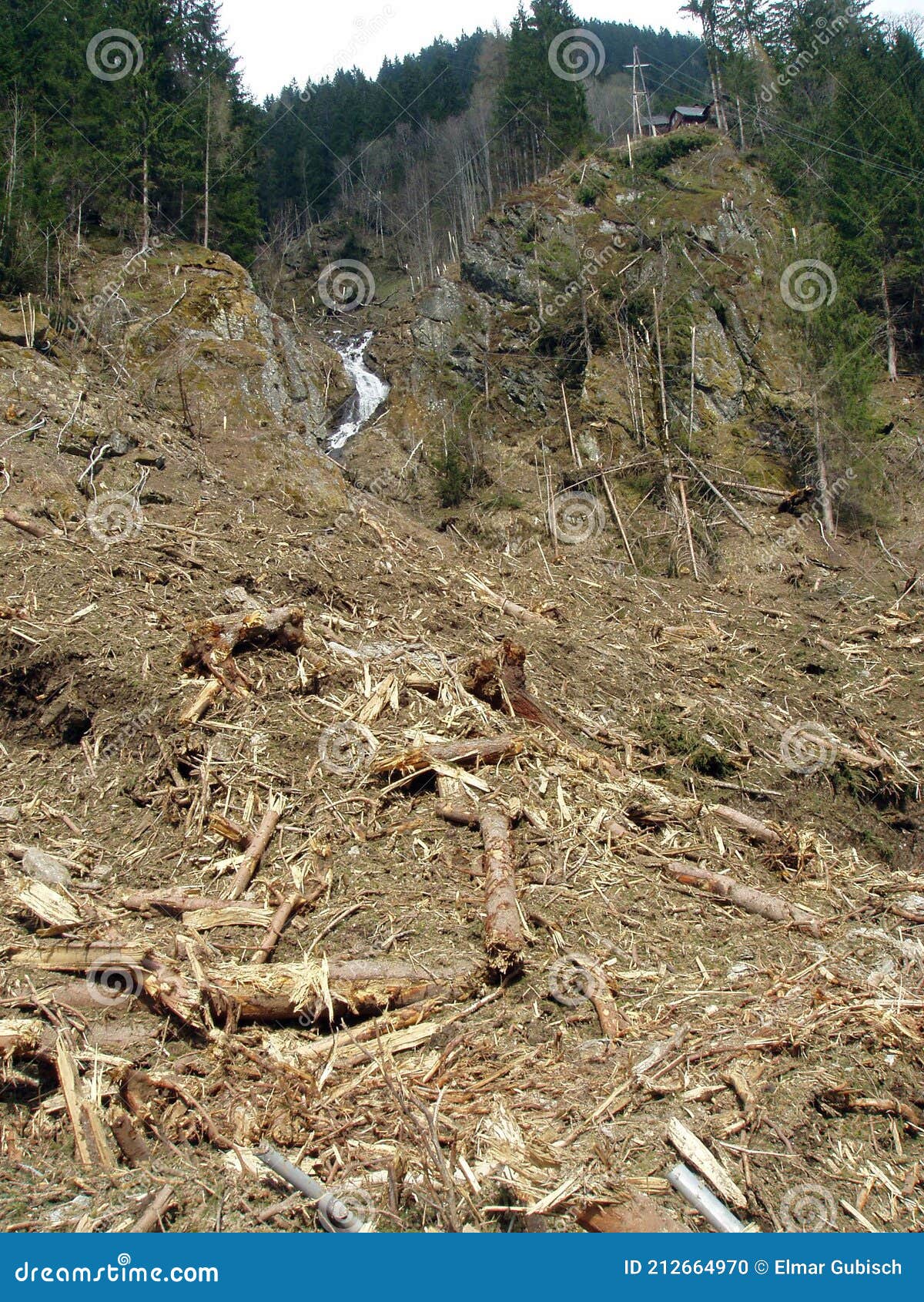 Avalanche Damage in the Spring Stock Photo - Image of community ...