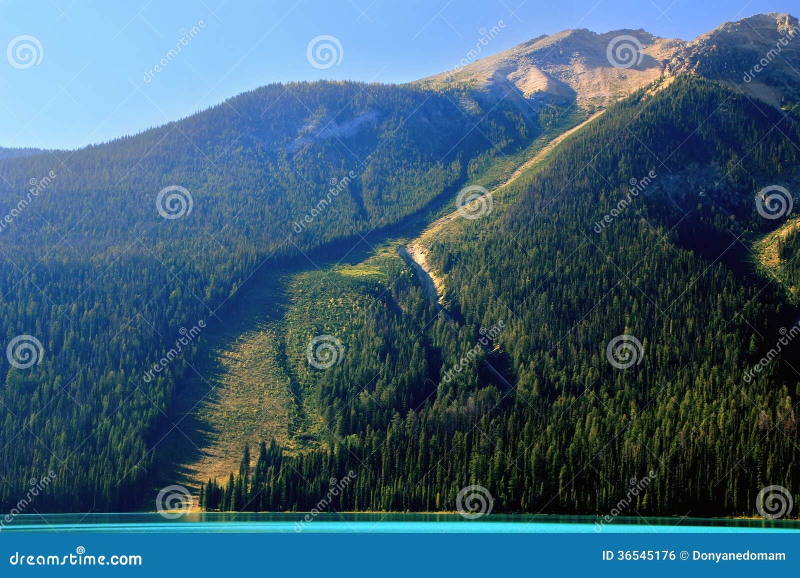 Avalanche Path at Emerald Lake, Yoho National Park, Canada Stock Photo ...