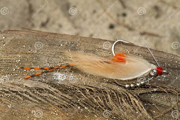 Avalon Bonefish Permit Fly - Fly Fishing Stock Image - Image of baits ...