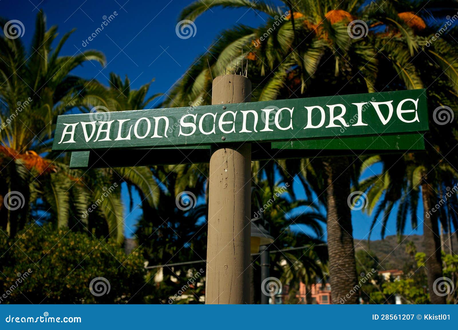 Avalon Drive Sign stock image. Image of island, directions - 28561207