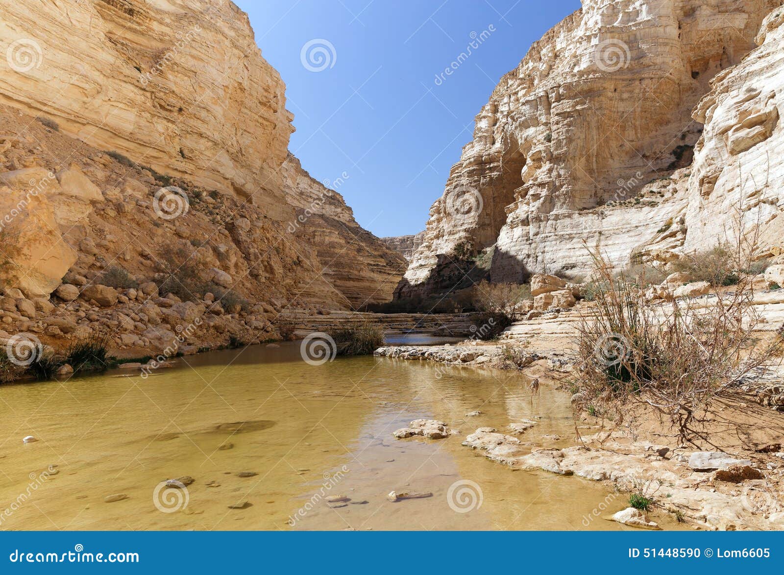 Avdat Canyon stock photo. Image of negev, middle, majestic - 51448590