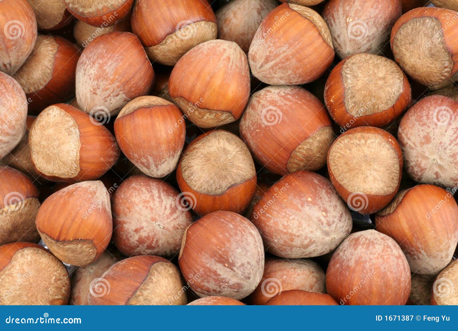 Avellanas imagen de archivo. Imagen de tuercas, tuerca - 1671387