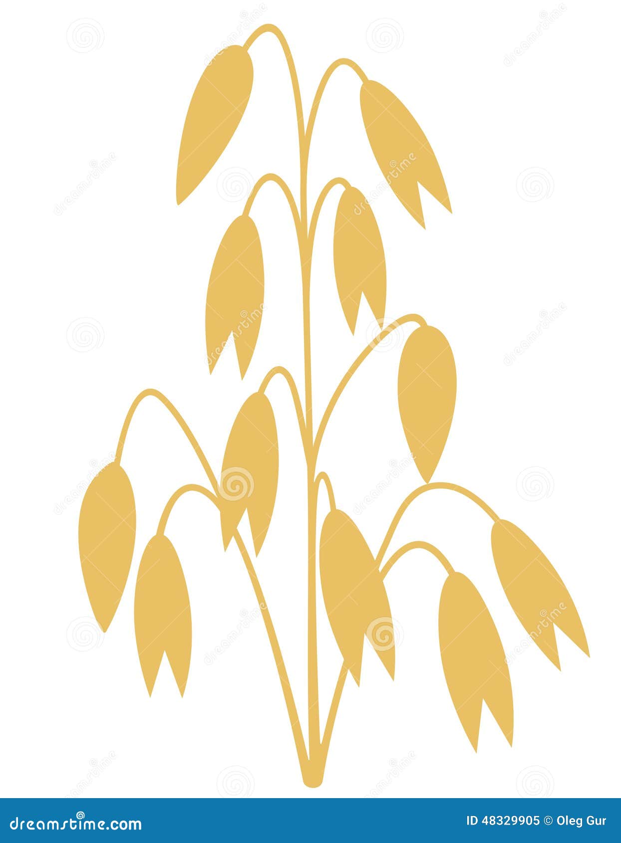 Avena ilustración del vector. Ilustración de amarillo - 48329905