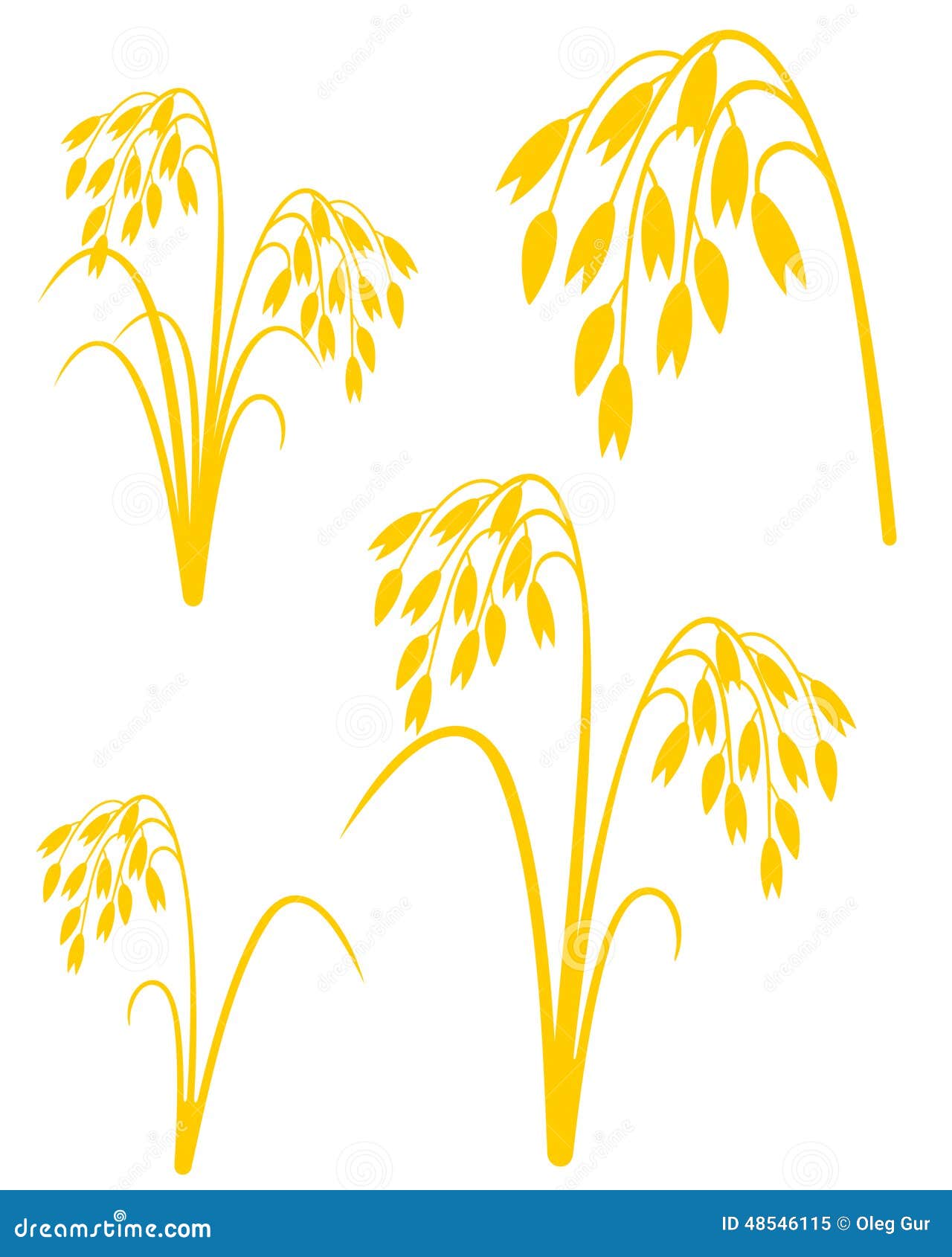 Avena ilustración del vector. Ilustración de conjunto - 48546115