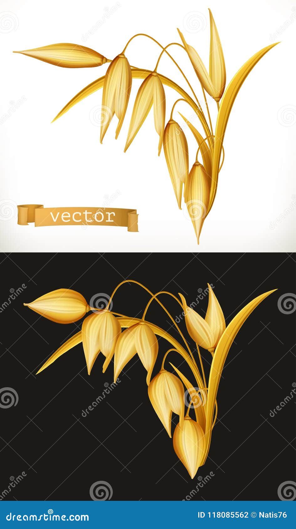 Avena icono del vector 3d ilustración del vector. Ilustración de germen ...