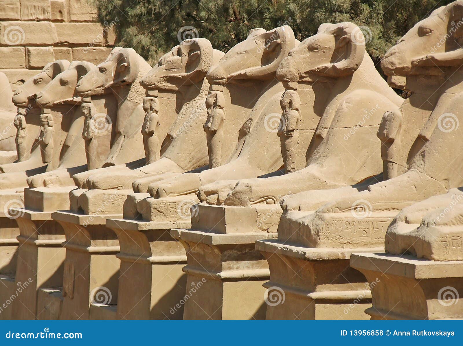 Avenida De Esfinges En Luxor, Egipto Foto de archivo - Imagen de piedra ...