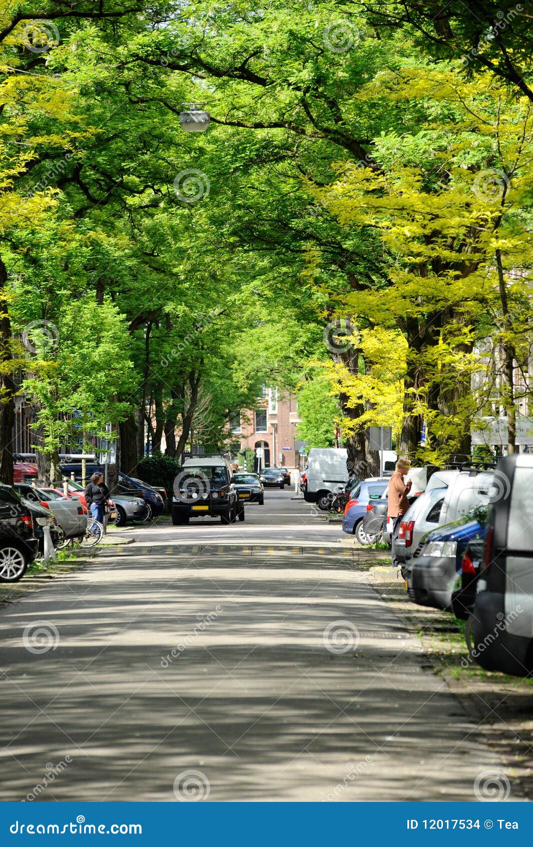 Avenue stock photo. Image of road, concrete, green, street - 12017534