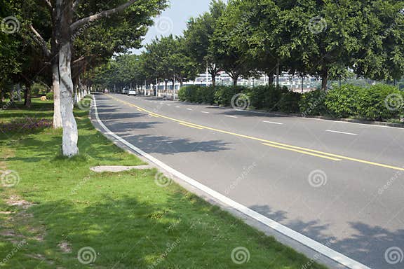 Avenue stock photo. Image of traffic, street, sign, shadow - 19703720