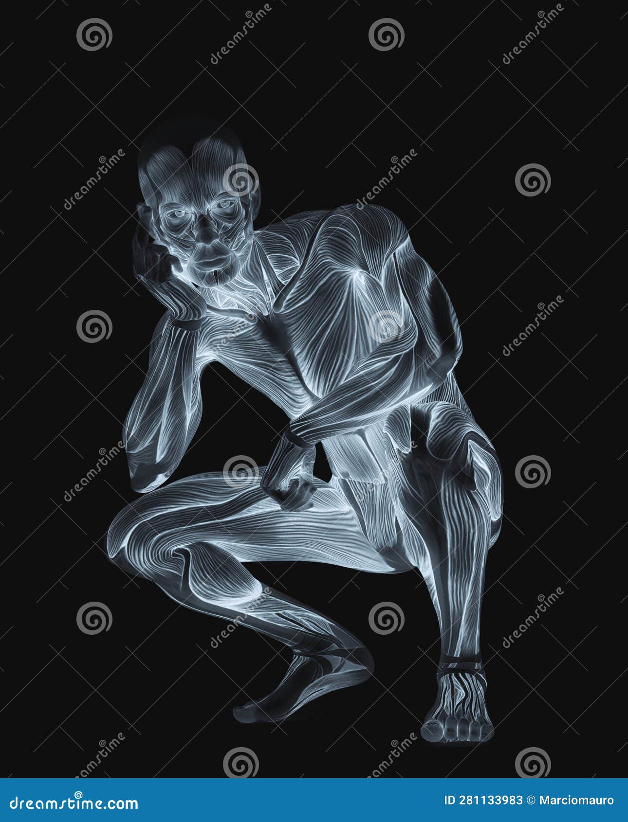 Average Man Muscle Maps is Crouched Stock Illustration - Illustration ...