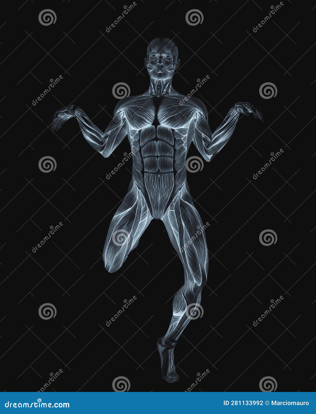 Average Man Muscle Maps is Doing a Funny Pose Stock Illustration ...