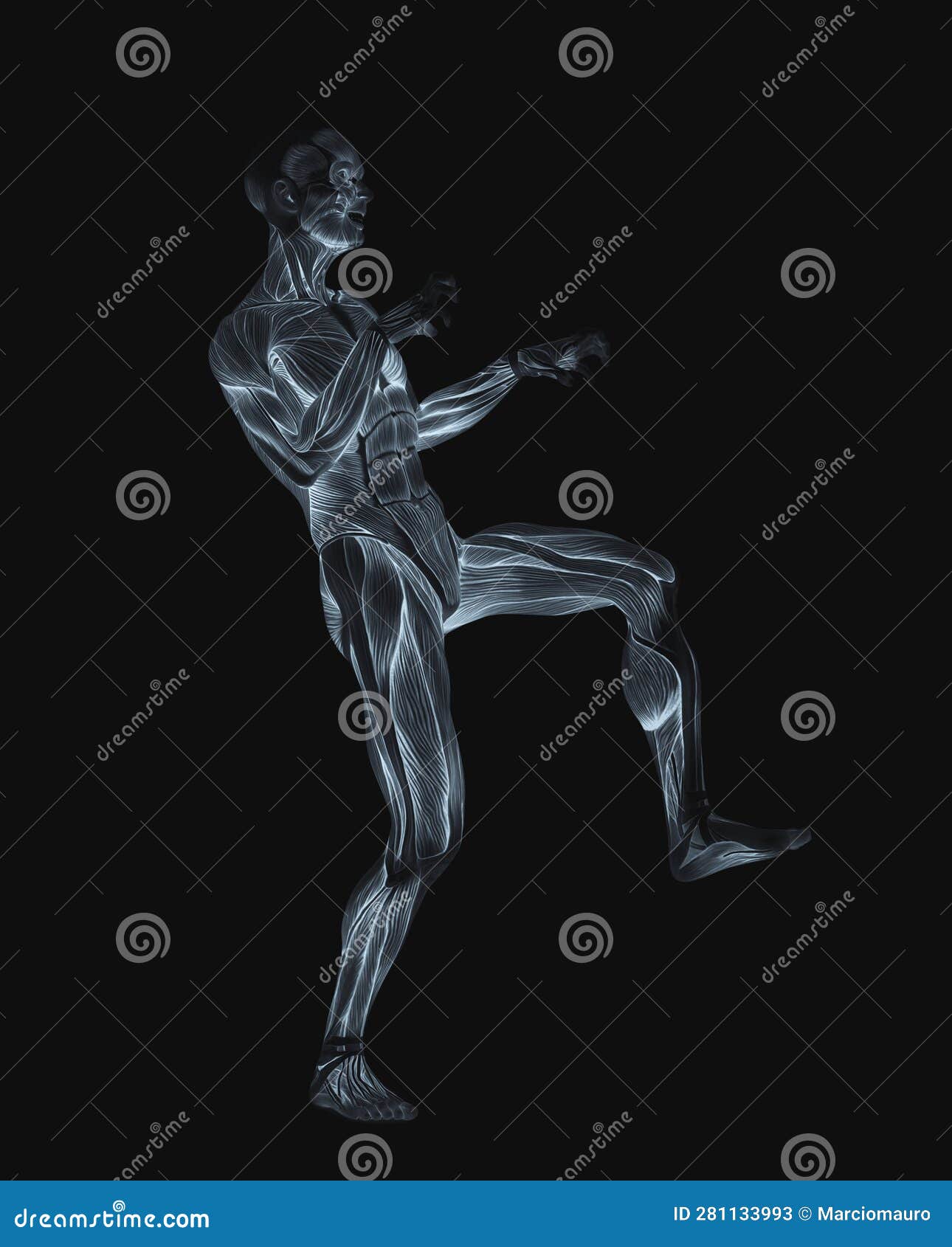 Average Man Muscle Maps is Doing a Halloween Pose Stock Illustration ...