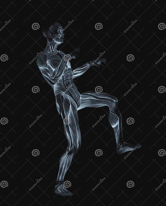 Average Man Muscle Maps is Doing a Halloween Pose Stock Illustration ...