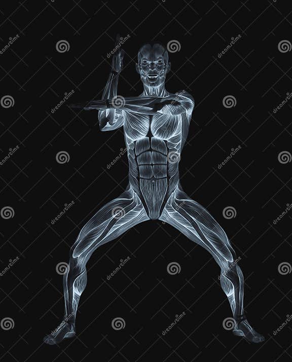 Average Man Muscle Maps is Doing a Karate Pose Stock Illustration ...
