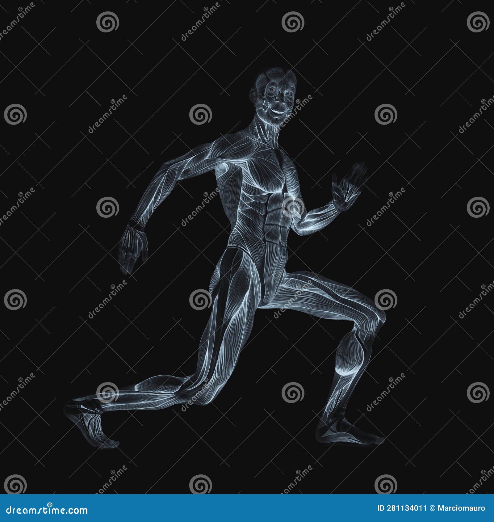Average Man Muscle Maps is Doing a Robot Dance Pose Stock Illustration ...